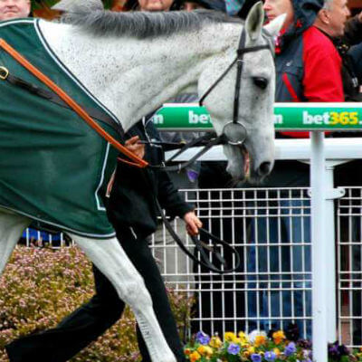 2012 Grand National Review and Results | GrandNational.Org.UK