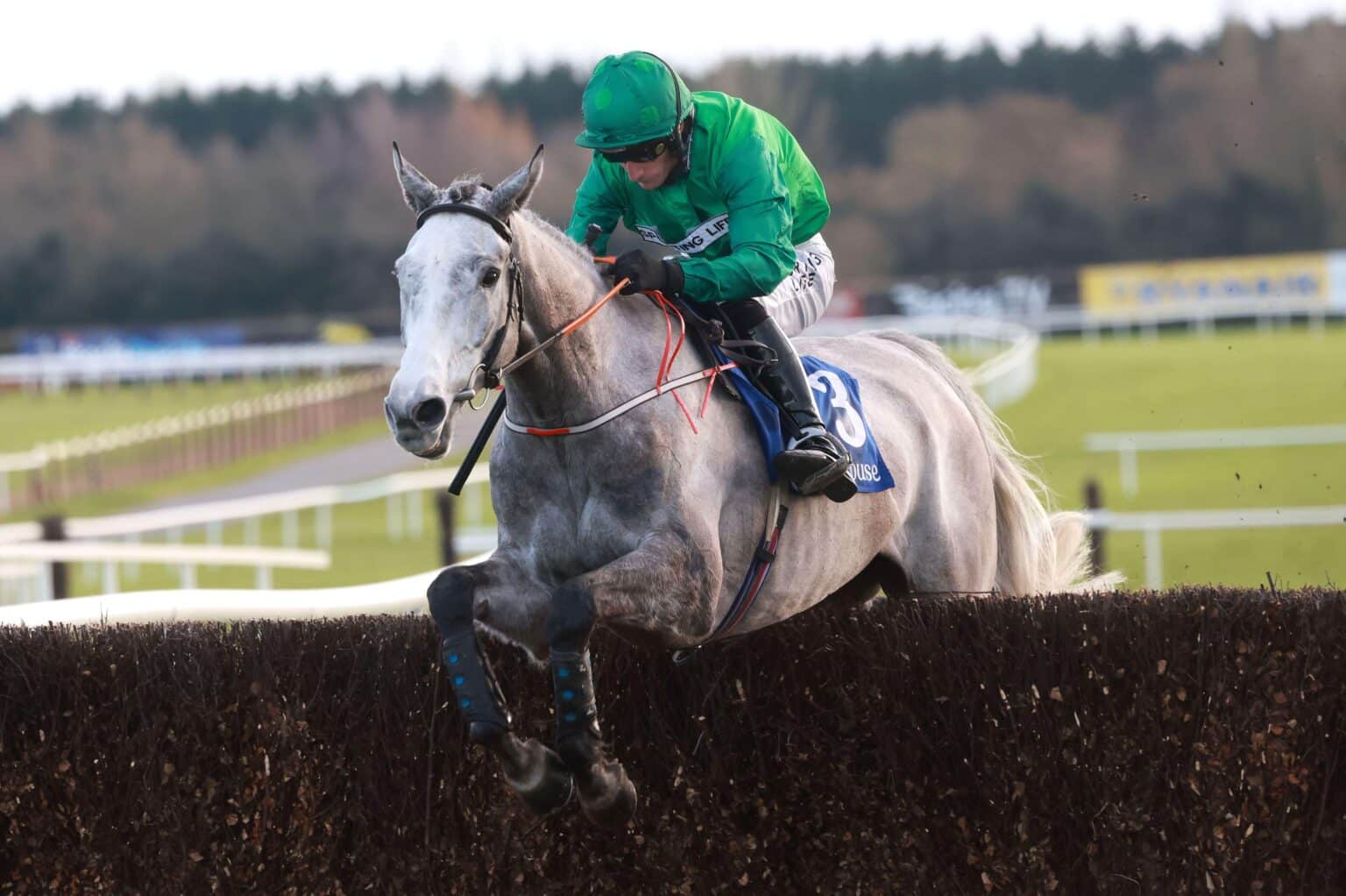 Grand National 2025 Supercomputer to Win Intense Raffles - News